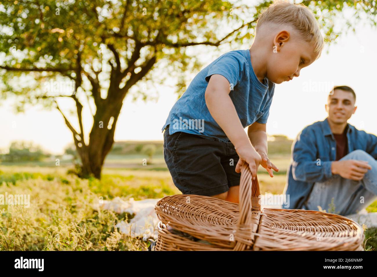 Young white father having picnic with his son by tree on summer field ...