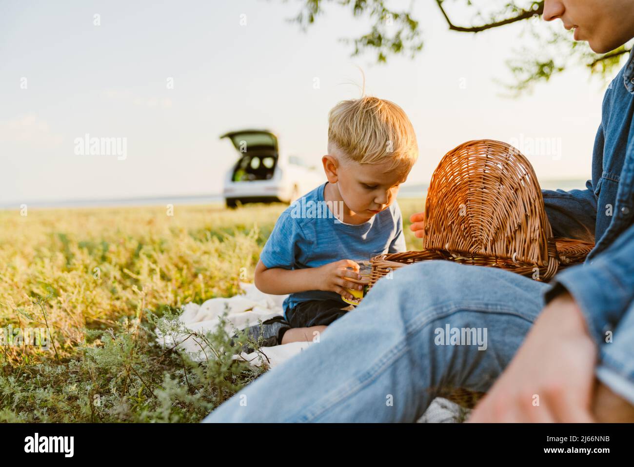 Young white father having picnic with his son on summer field Stock ...