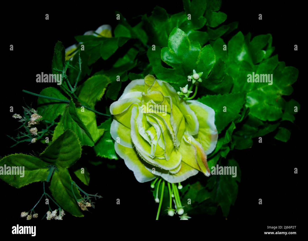 Burial plastic hi-res stock photography and images - Alamy