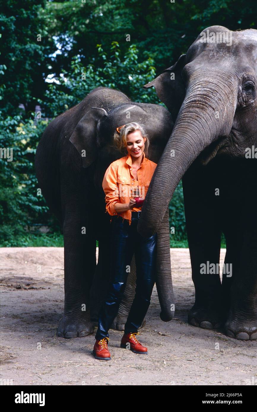 Elefanten in der natur hi-res stock photography and images - Alamy