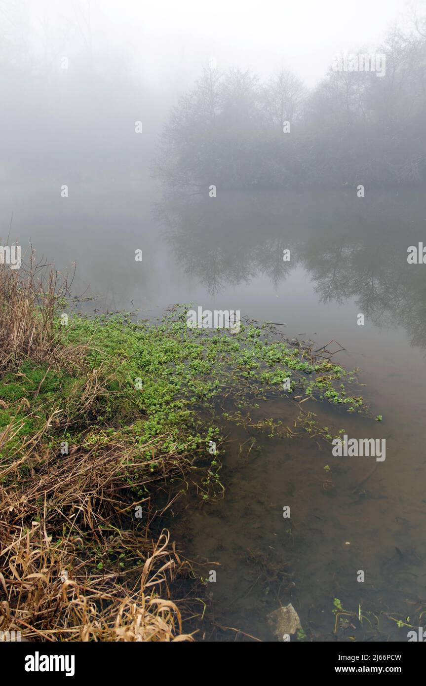 Misty riverbank hi-res stock photography and images - Alamy