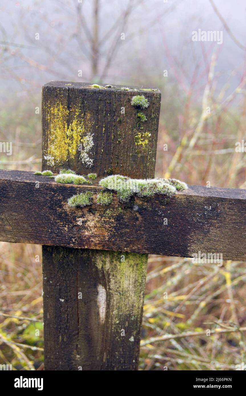 Stained fence hi-res stock photography and images - Alamy