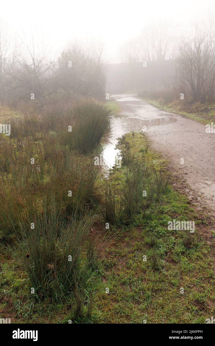 Waterlogged trail hi-res stock photography and images - Alamy