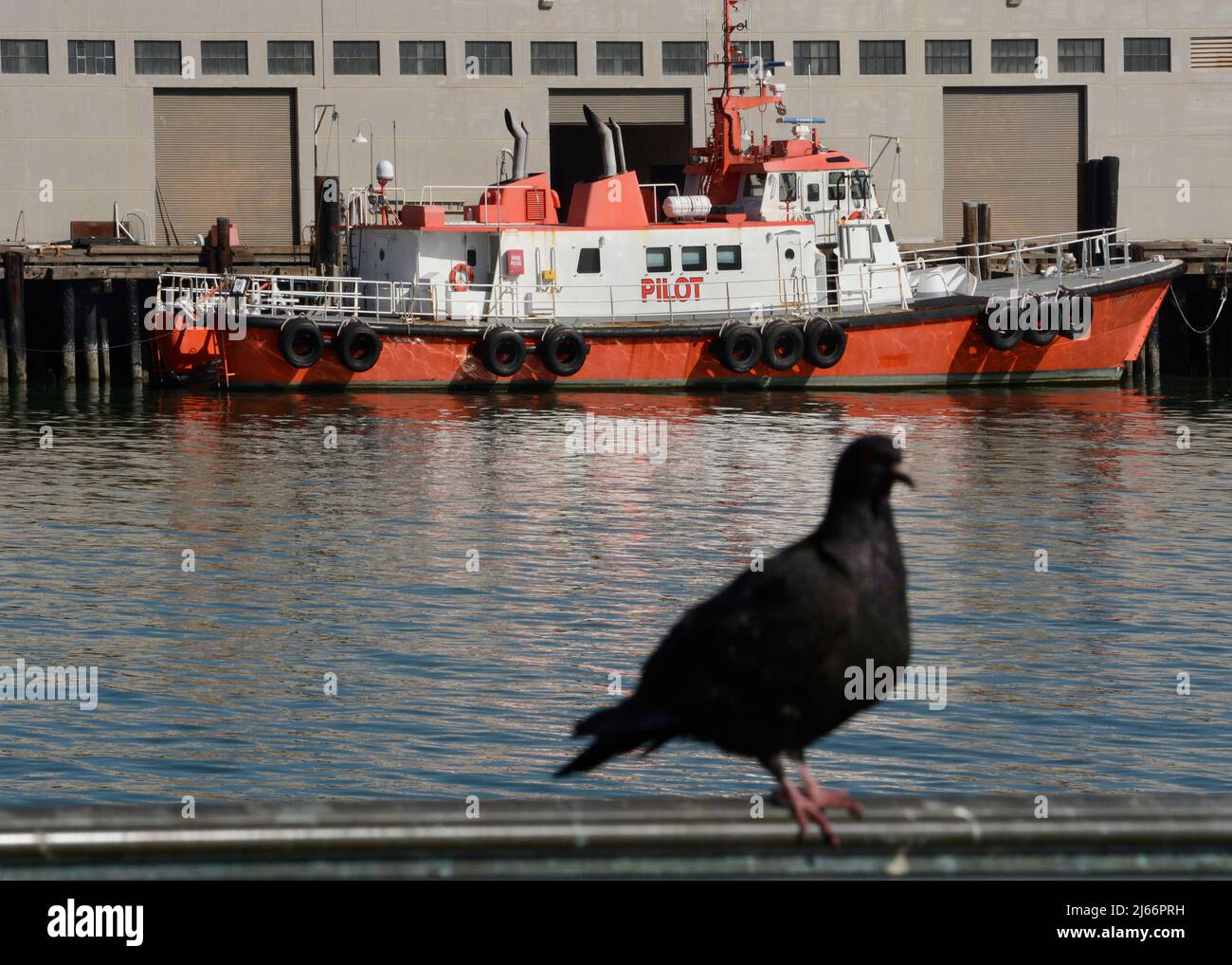 A Bar Pilot vessel docked along the eastern waterfront of San Francisco ...