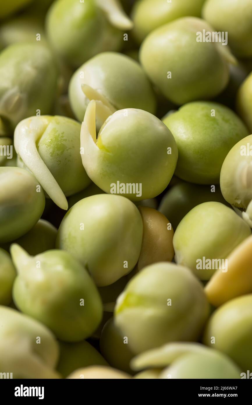 Raw Green Organic Alaskan Peas in a Bowl Stock Photo - Alamy