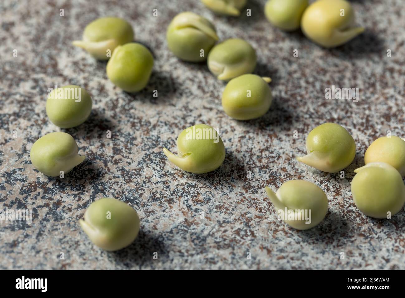 Alaskan pea hi-res stock photography and images - Alamy