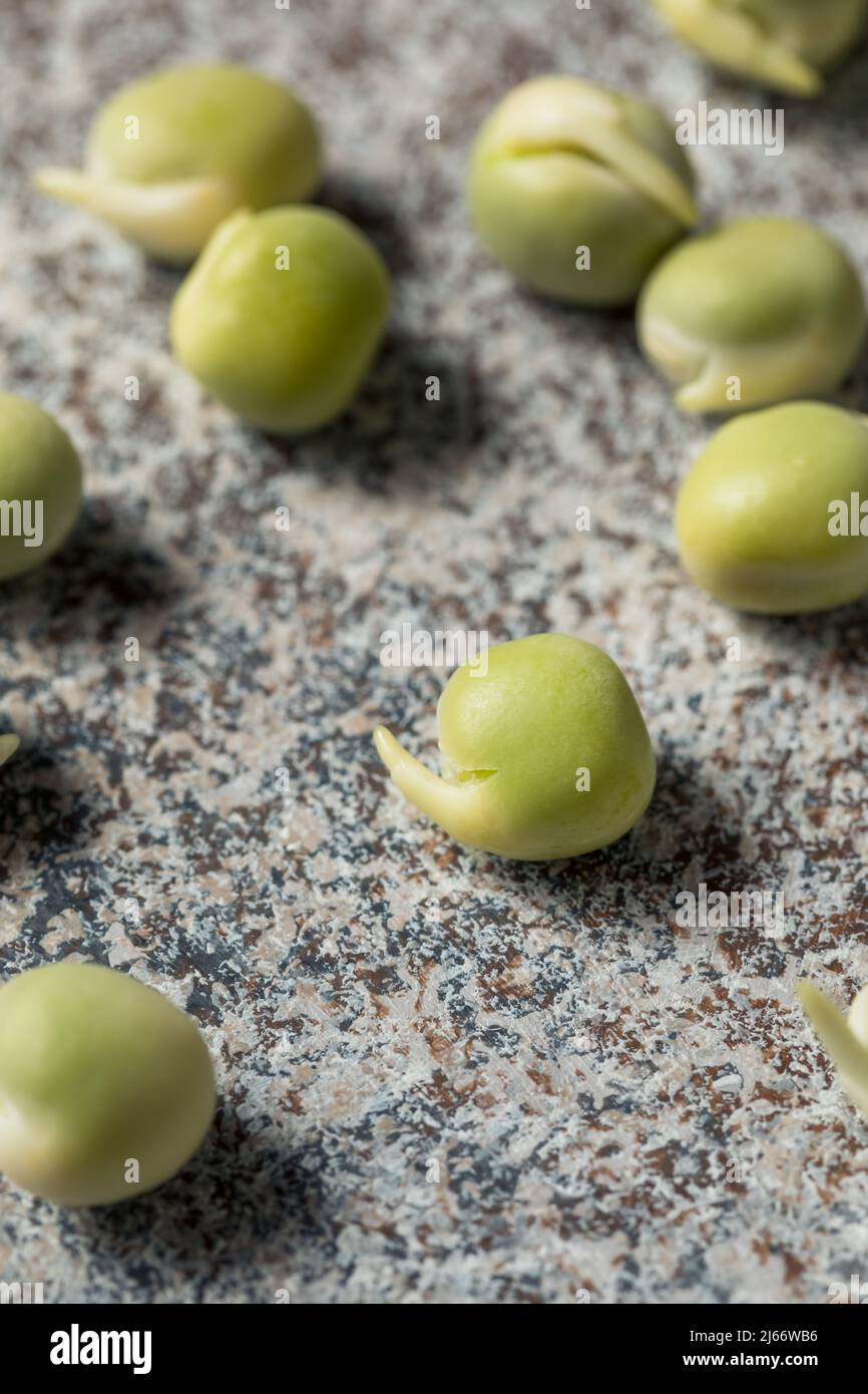 Raw Green Organic Alaskan Peas in a Bowl Stock Photo - Alamy