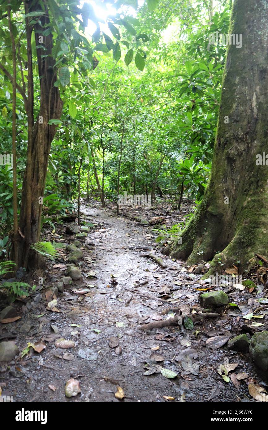 Rainng hi-res stock photography and images - Alamy