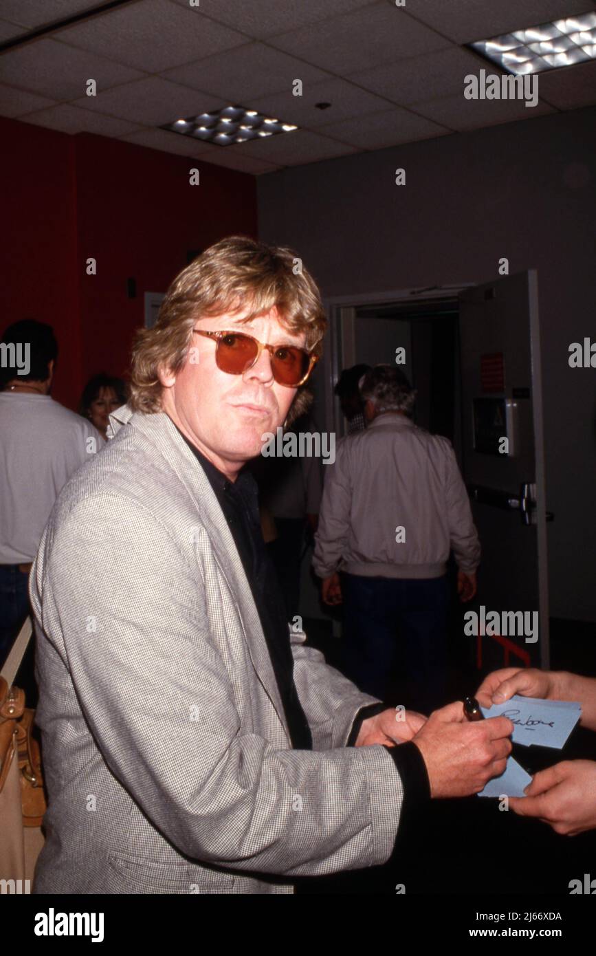 Peter Noone 1993 Credit: Ralph Dominguez/MediaPunch Stock Photo - Alamy