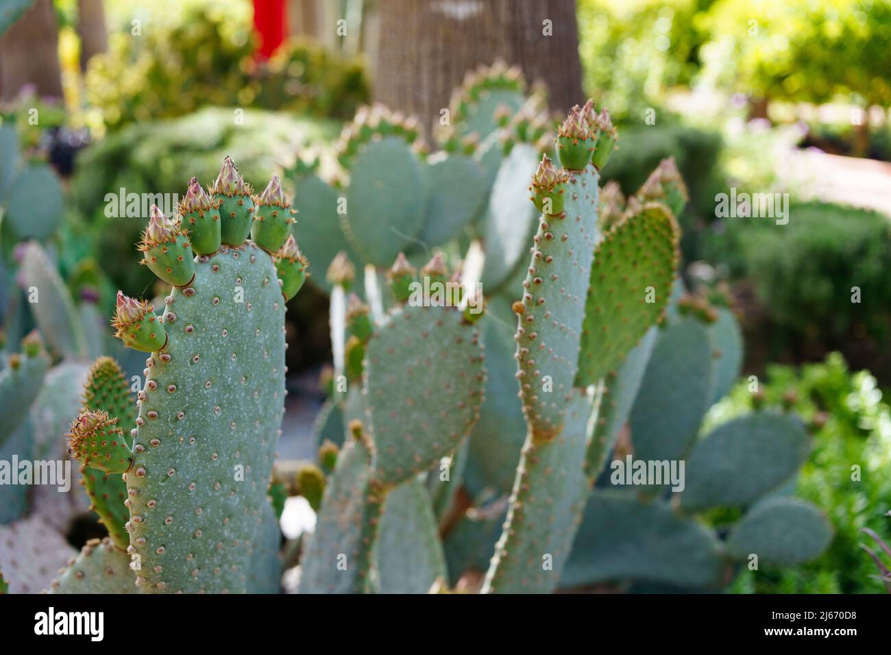 Industry plant morocco hi-res stock photography and images - Alamy