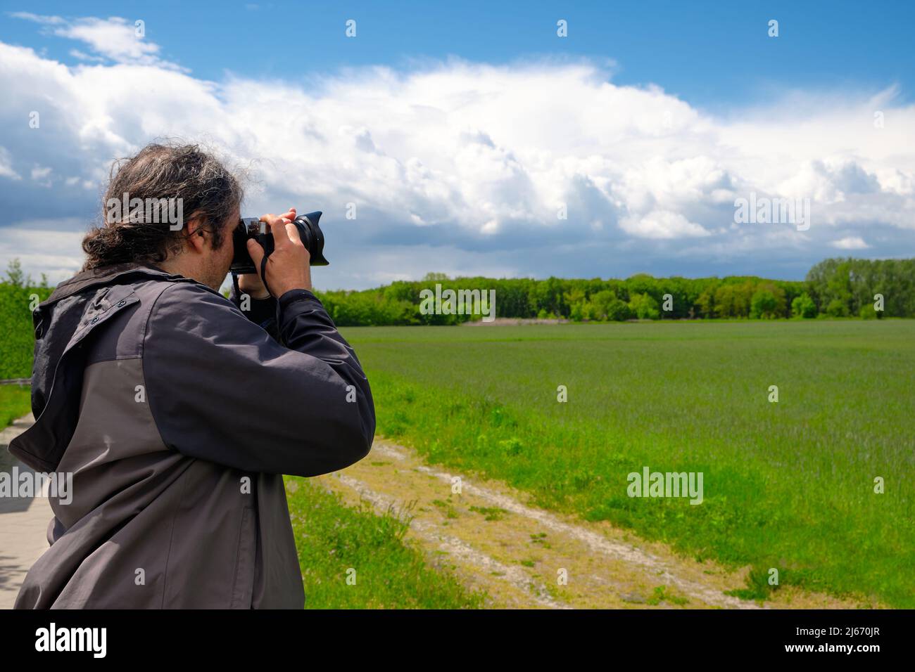 Male photographer taking pictures of barley field with forest far away ...