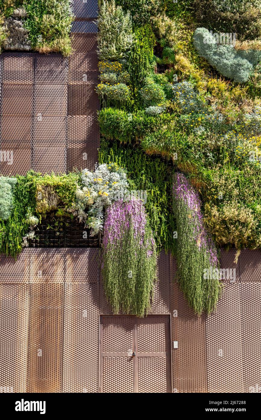 Building outdoor color vertical hi-res stock photography and images - Alamy