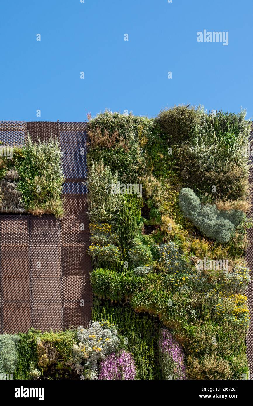 Vertical frame park on hi-res stock photography and images - Alamy