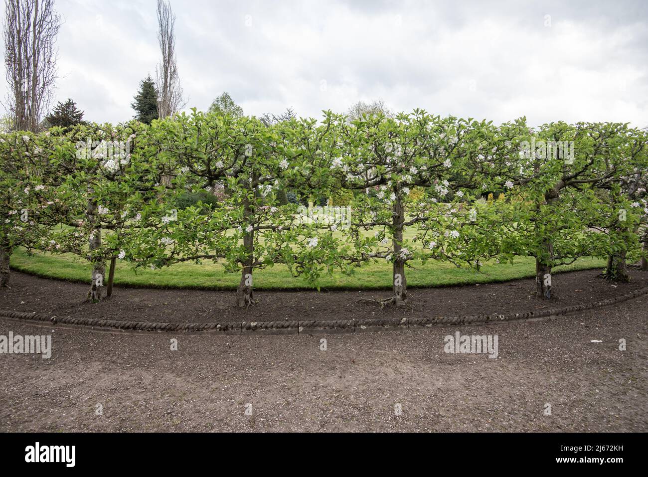 Two more more pairs of arms hi-res stock photography and images - Alamy