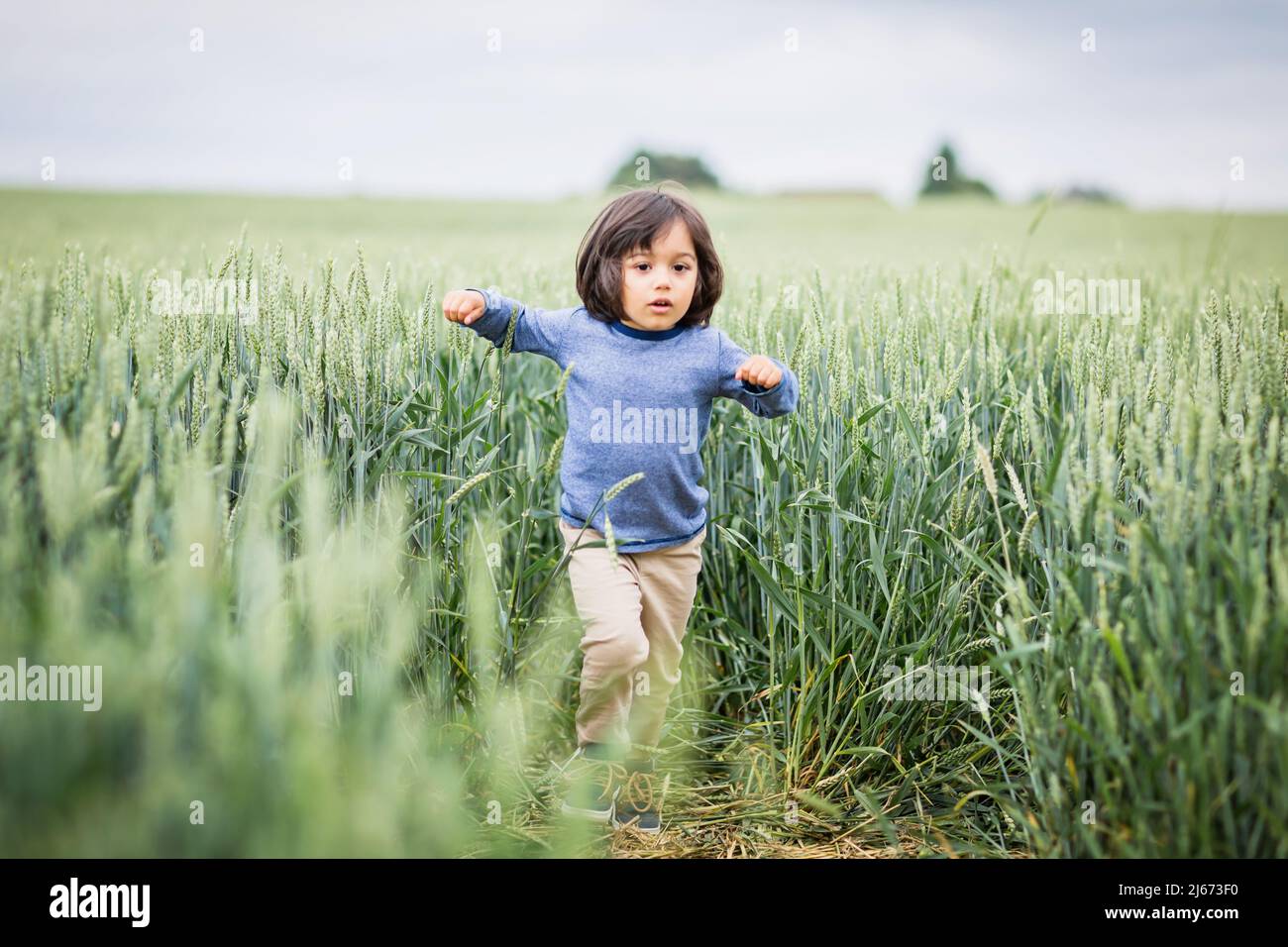 Little eastern handsome baby boy running in the field Stock Photo - Alamy