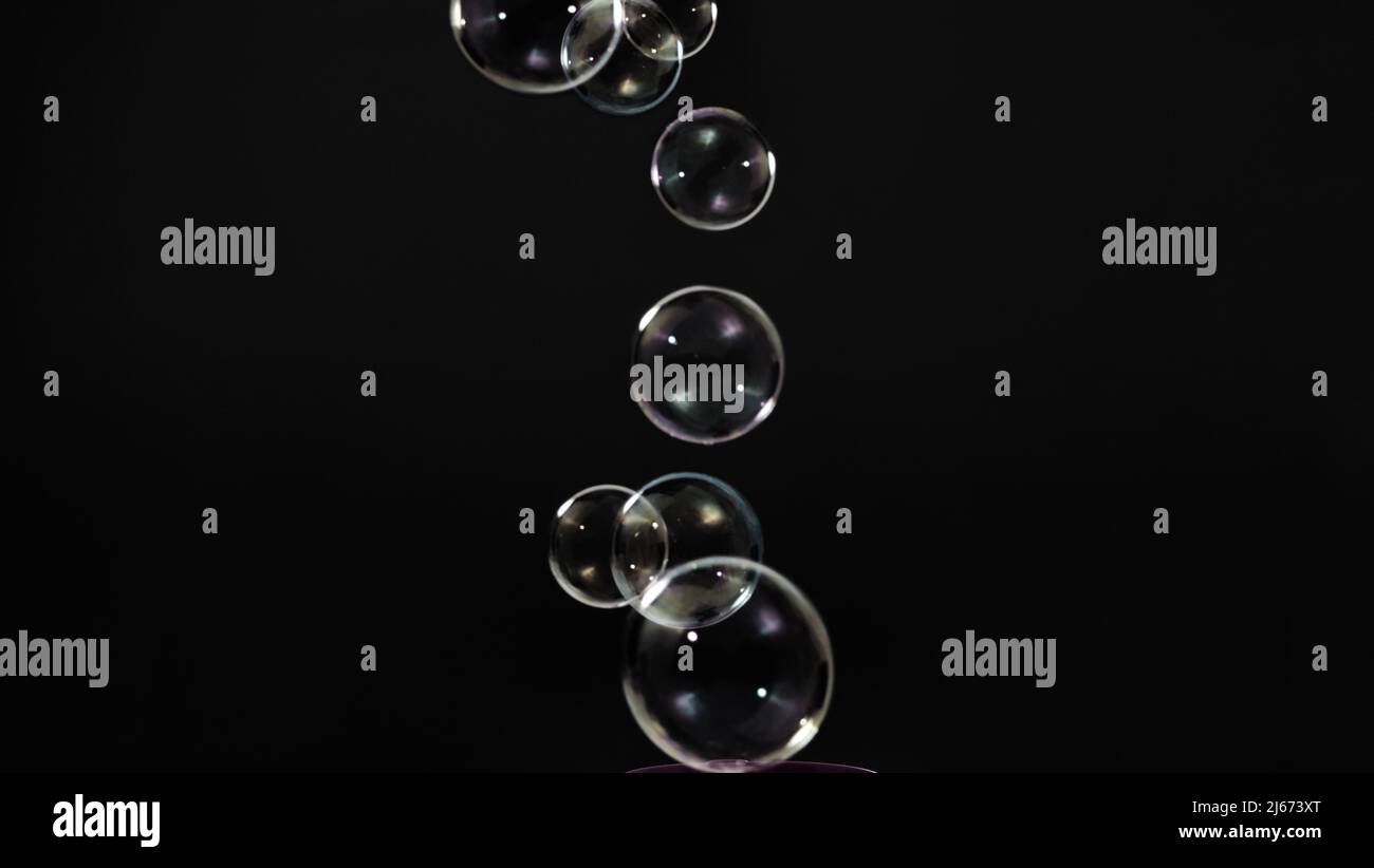 Soap bubble drop or Shampoo bubbles floating like flying in the air ...
