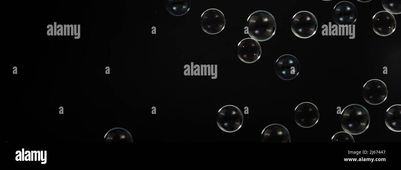 Soap bubble drop or Shampoo bubbles floating like flying in the air ...