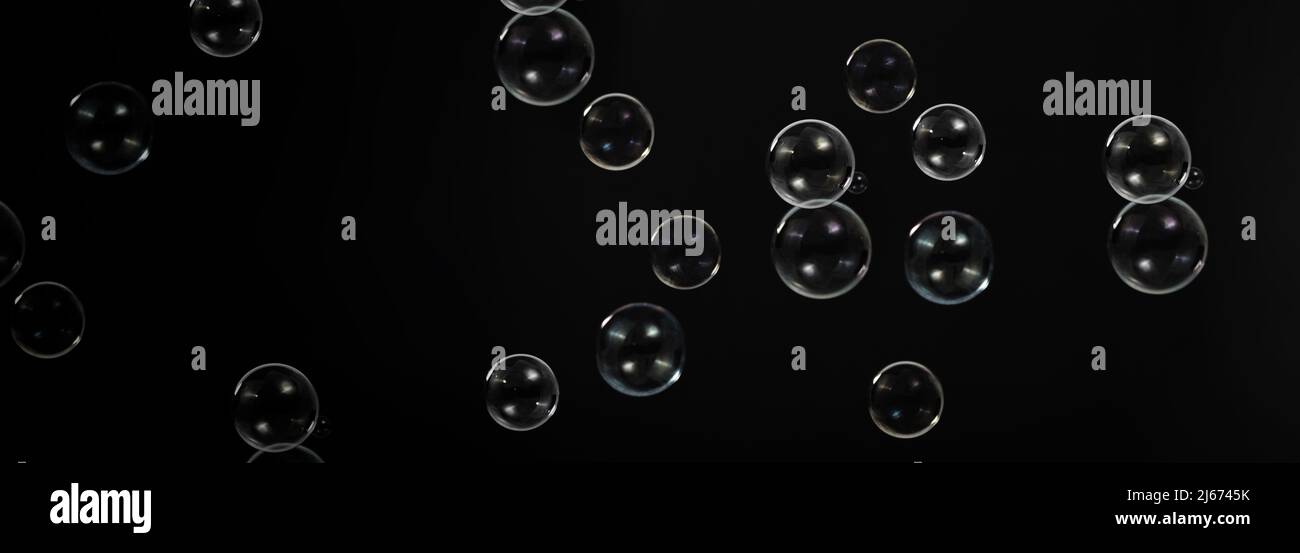 Soap bubble drop or Shampoo bubbles floating like flying in the air ...