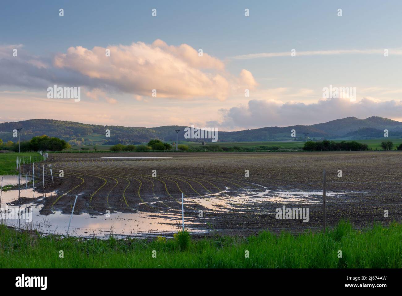 Fields at Ivancina village and Ziar mountains, Slovakia Stock Photo - Alamy