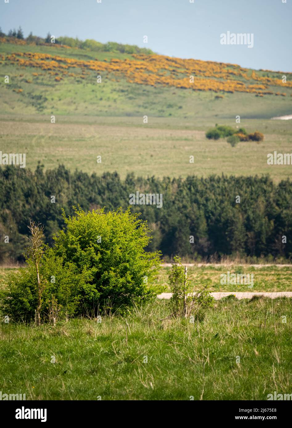 The tump hi-res stock photography and images - Alamy