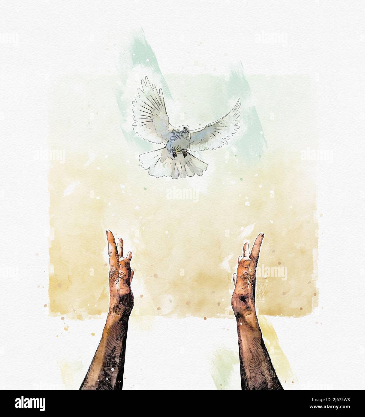 Dove human hands peace symbol hi-res stock photography and images - Alamy