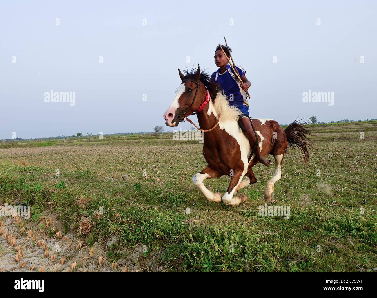 A young Jockey rides a horse during a Rural Horse Race. After the ...