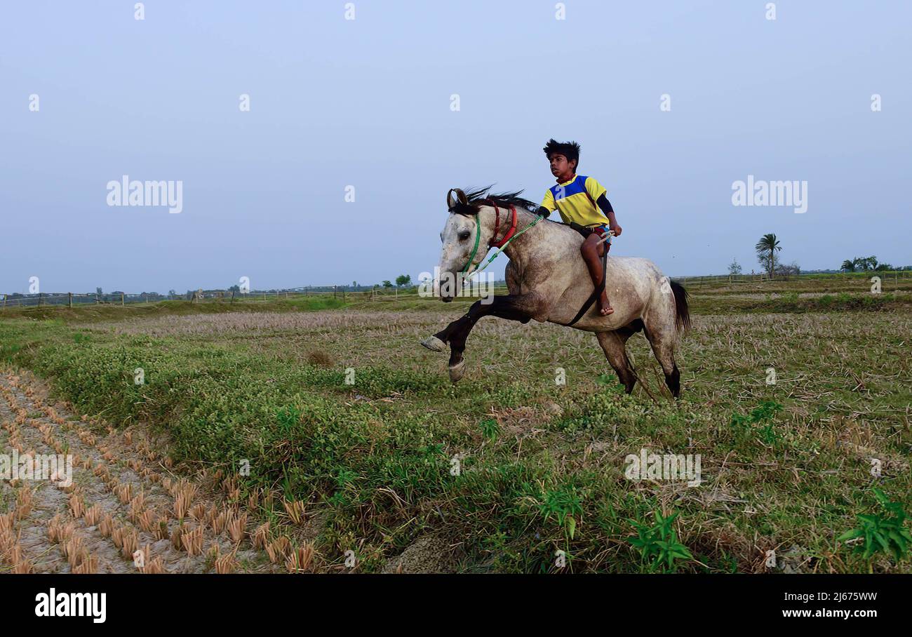 A young Jockey rides a horse during a Rural Horse Race. After the ...
