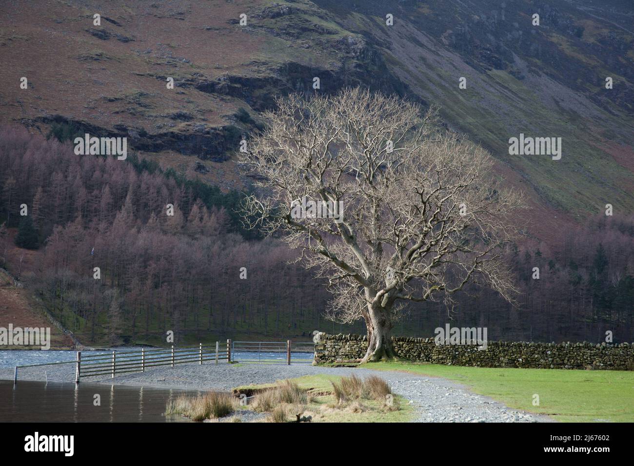 Views of Buttermere Lake in The Lake District in Allerdale, Cumbria in ...