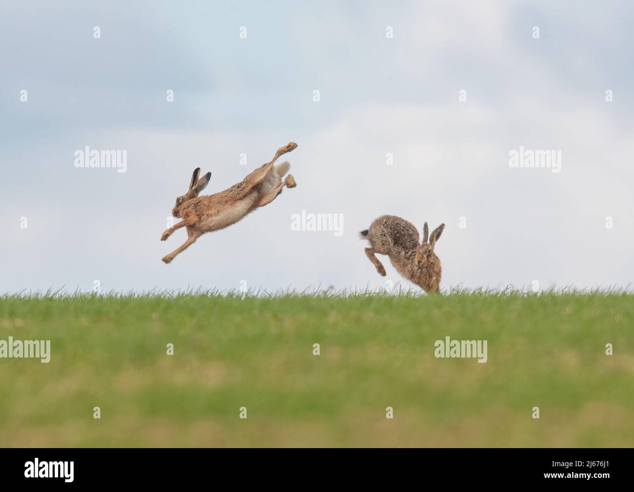 Acrobatic positions hi-res stock photography and images - Alamy