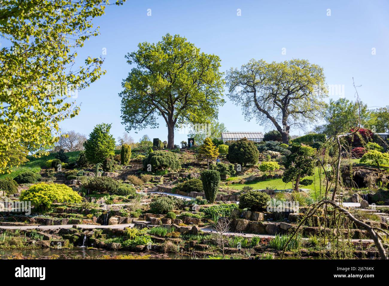 Rock garden at Wisley Garden in Spring, Surrey, England, UK Stock Photo ...