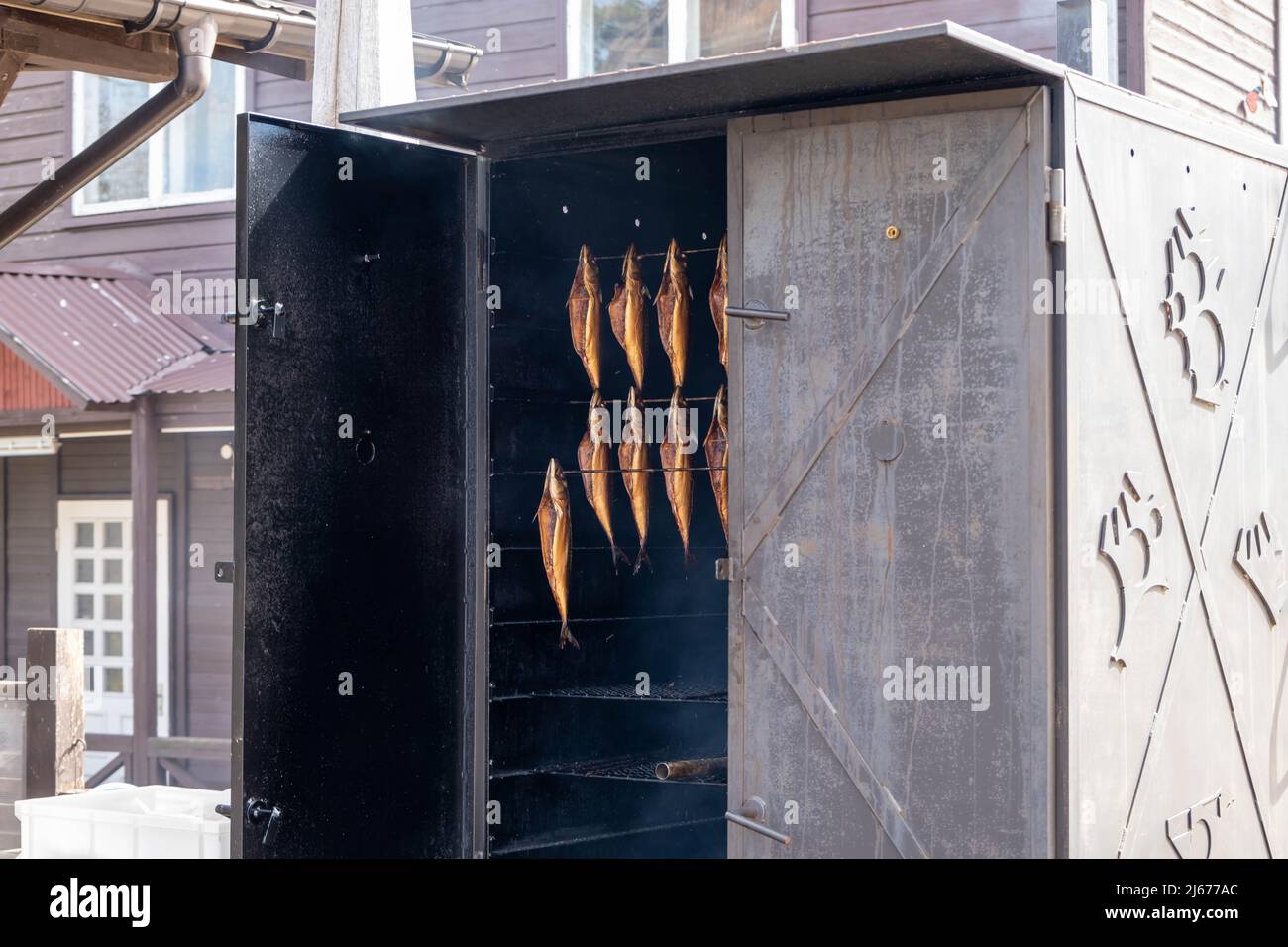 Smoked fish mackerel or scomber in smokehouse. Smoking Process Fish ...