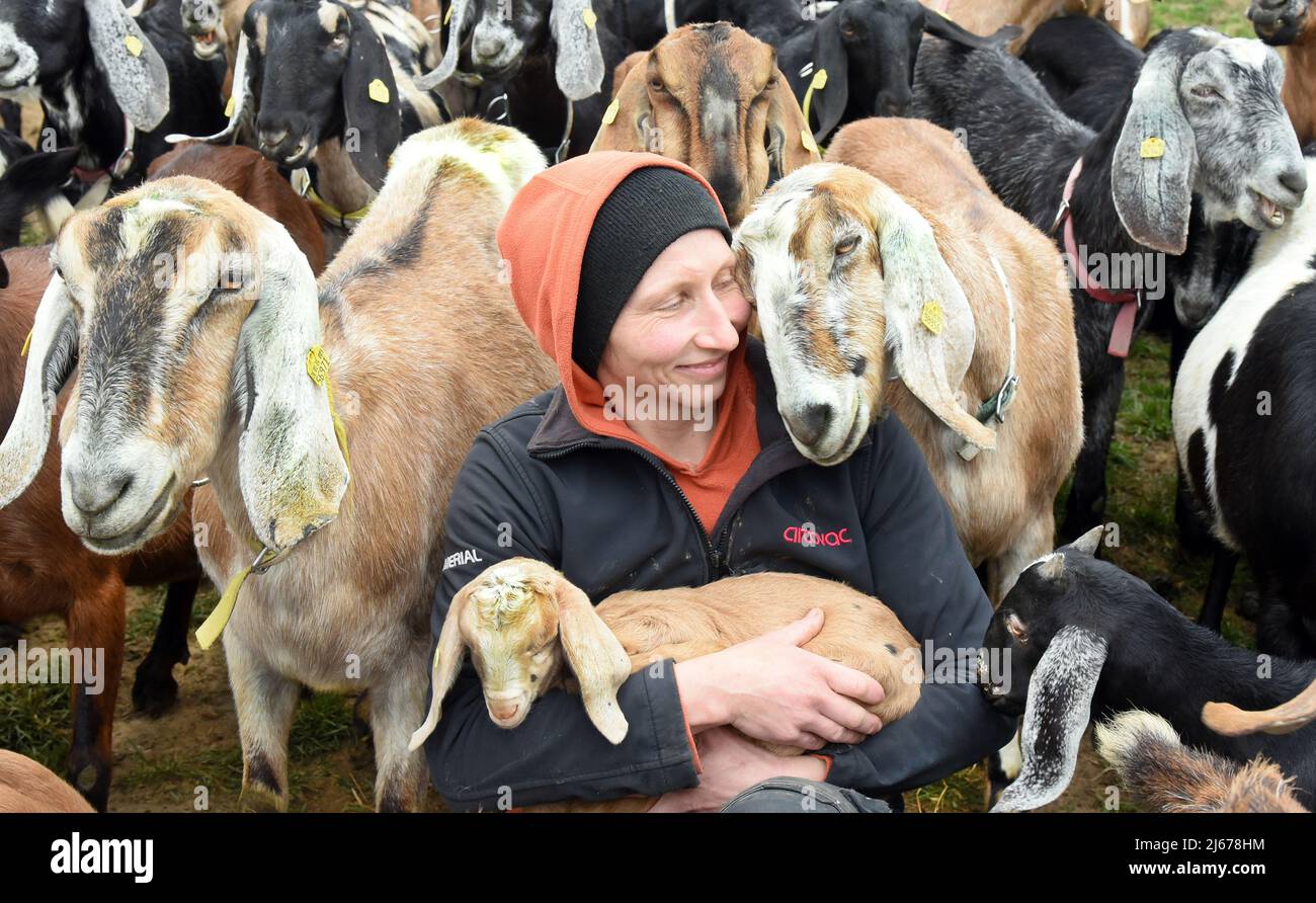 Animal lamb goat celebrity hi-res stock photography and images - Alamy