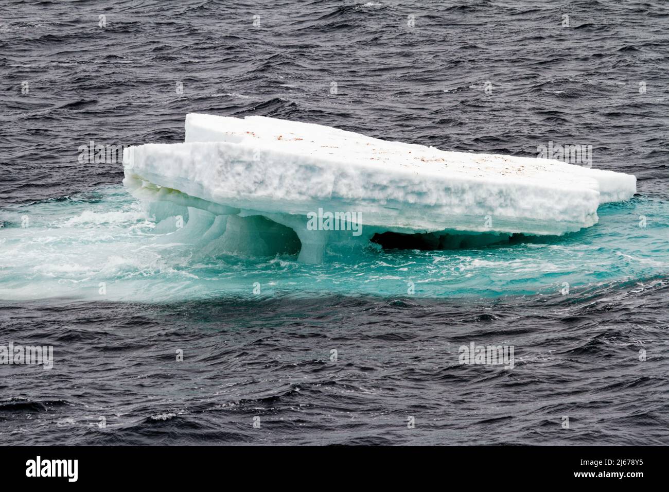 Antarctica - Non Tabular Iceberg Drifting In The Ocean - Antarctica In ...