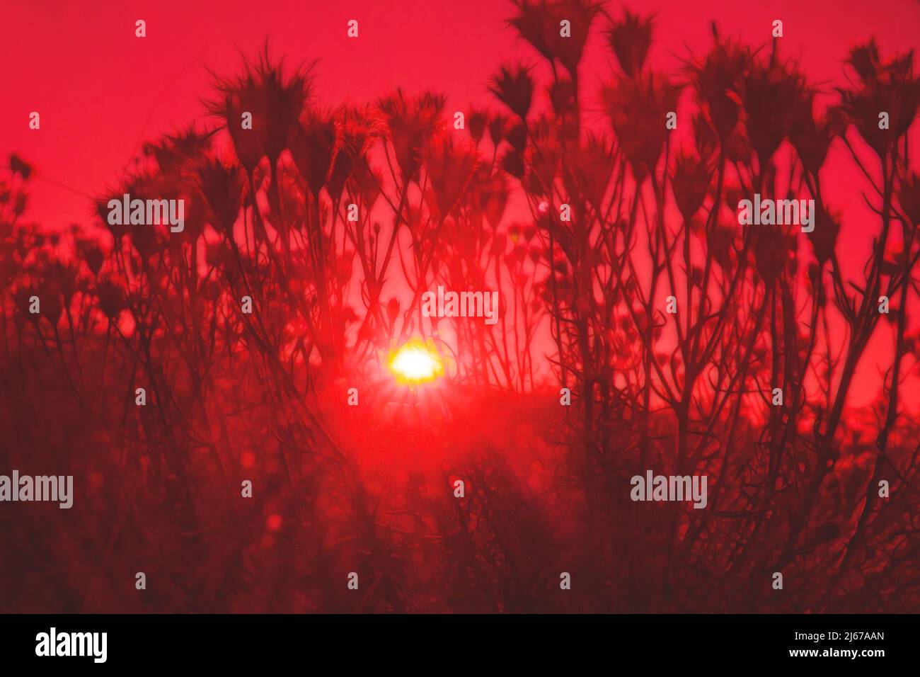 Ir flare hi-res stock photography and images - Alamy