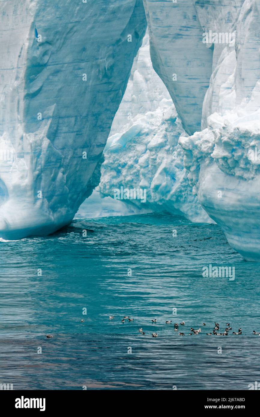 Antarctica, Antarctic Peninsula, Palmer Archipelago, Neumayer Channel ...