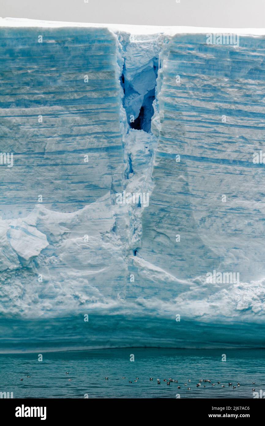 Antarctica, Antarctic Peninsula, Palmer Archipelago, Neumayer Channel ...