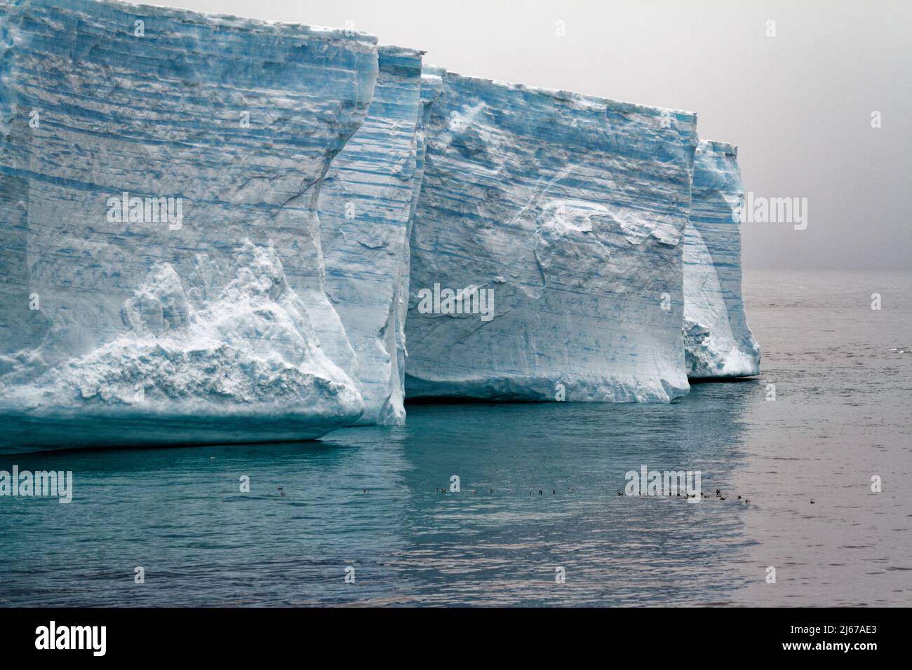 Antarctica, Antarctic Peninsula, Palmer Archipelago, Neumayer Channel ...