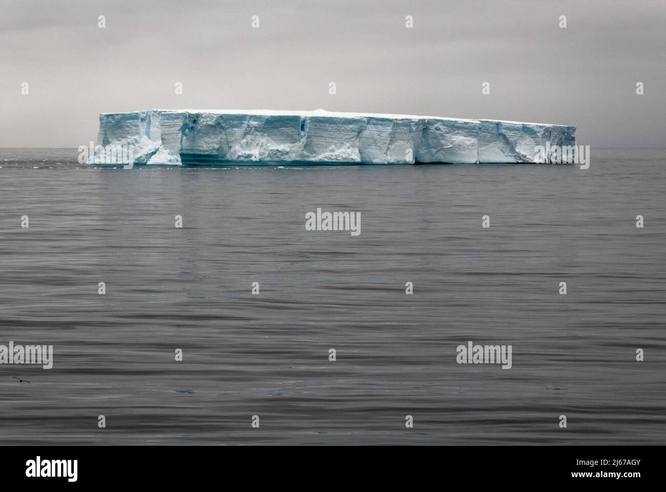 Antarctica, Antarctic Peninsula, Palmer Archipelago, Neumayer Channel ...