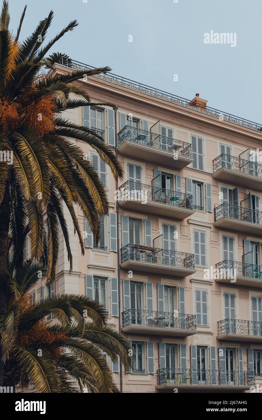 Facade of a traditional residential building in Nice, France, palm tree ...