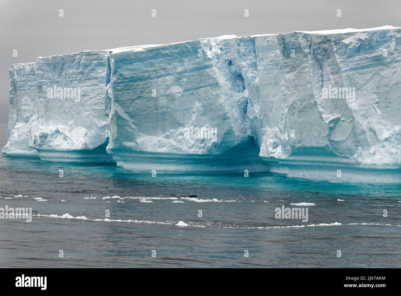 Antarctica - Antarctic Peninsula - Palmer Archipelago - Neumayer ...
