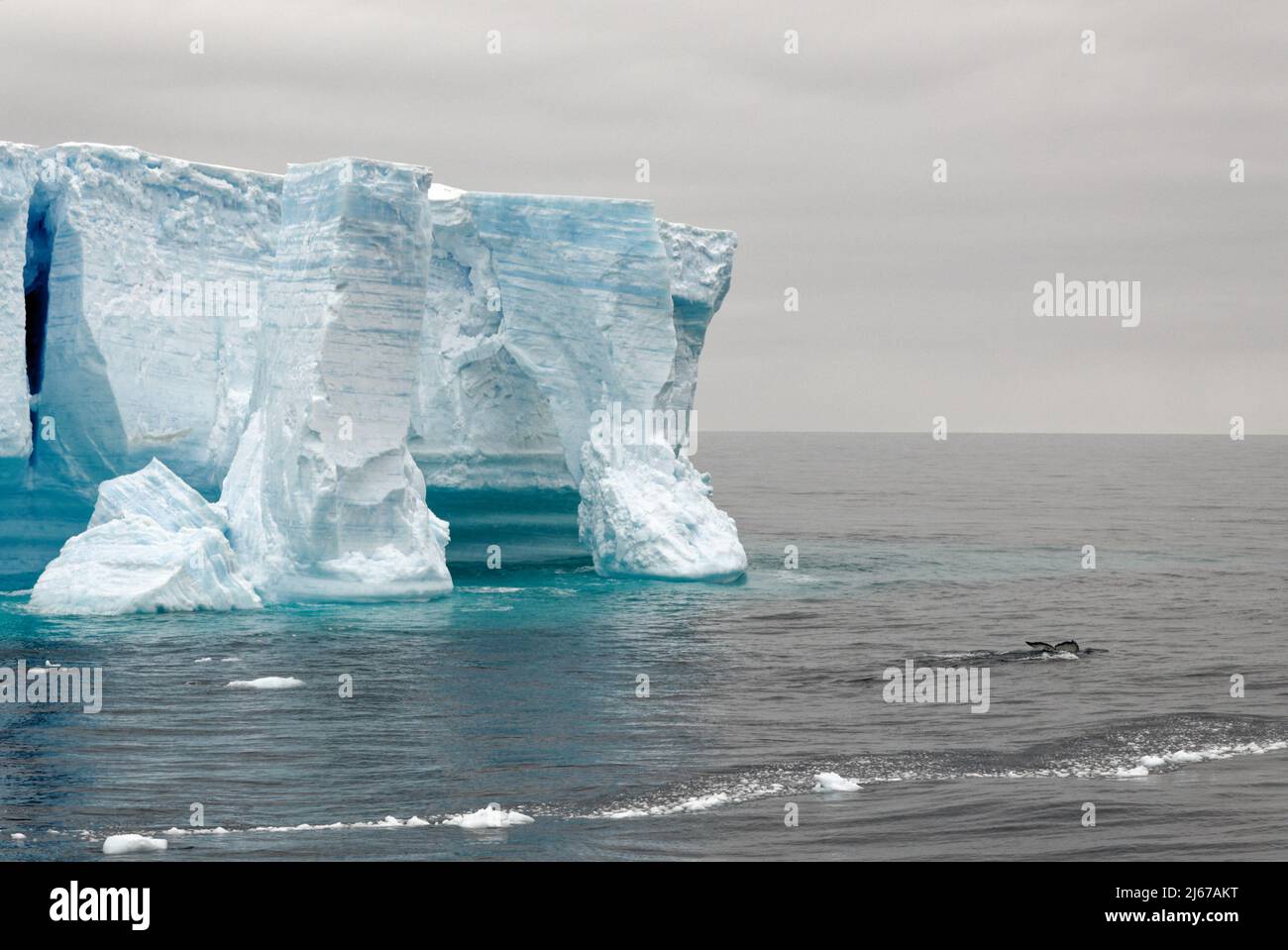 Antarctica - Antarctic Peninsula - Palmer Archipelago - Neumayer ...