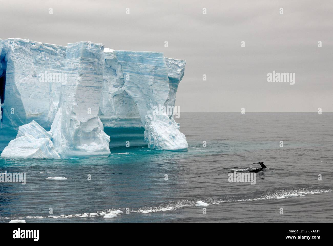 Antarctica - Antarctic Peninsula - Palmer Archipelago - Neumayer ...