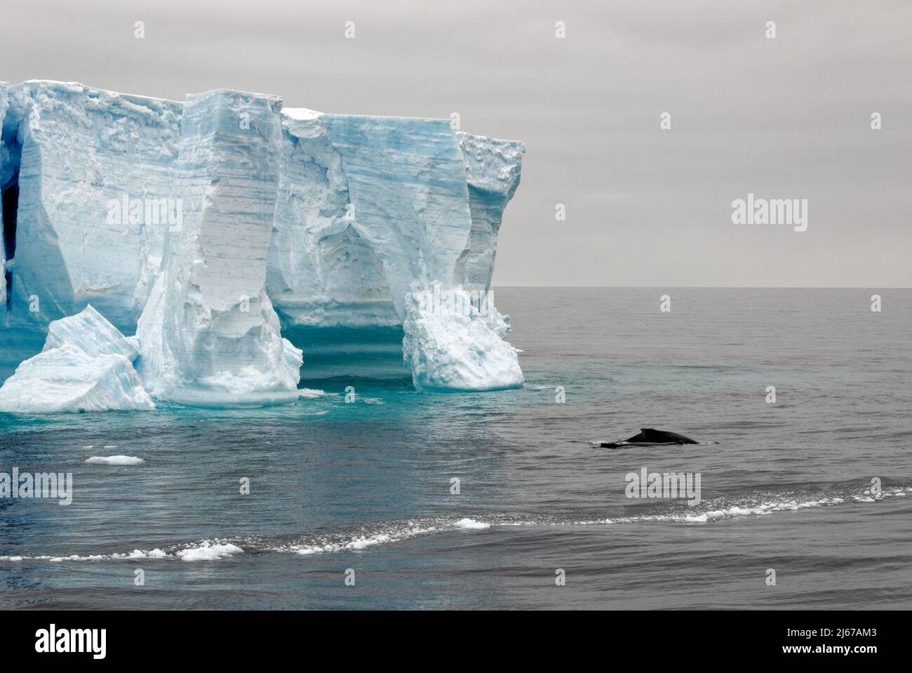 Antarctica - Antarctic Peninsula - Palmer Archipelago - Neumayer ...