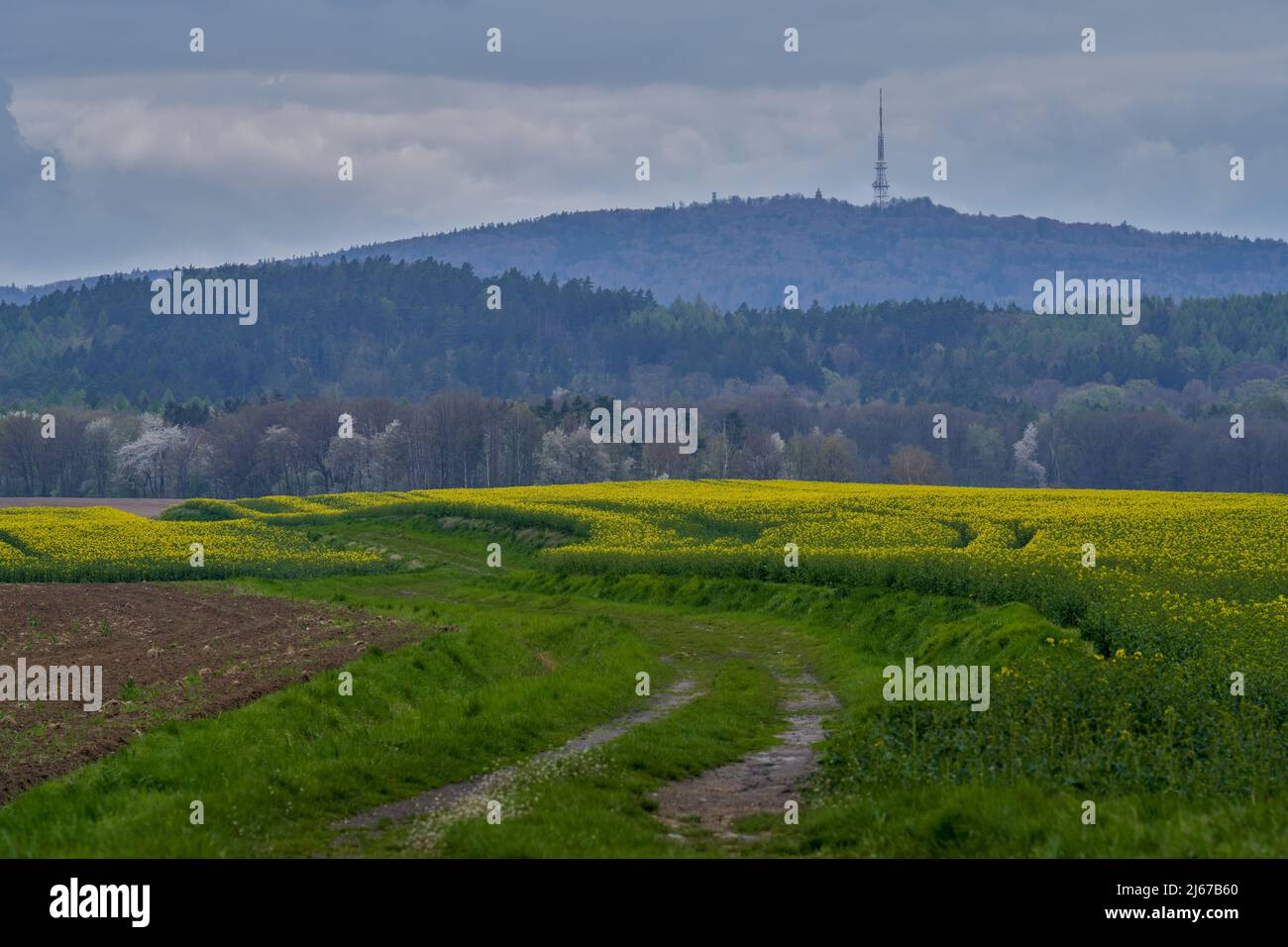 Spring rural landscape Lower Silesia Poland Stock Photo - Alamy