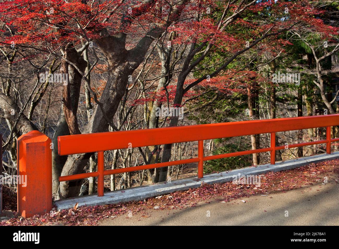 Bridge autumn Ikaho Japan Stock Photo - Alamy