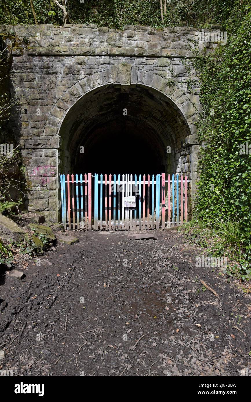 The disused Tintern Tunnel on the former Tintern railway line, now ...