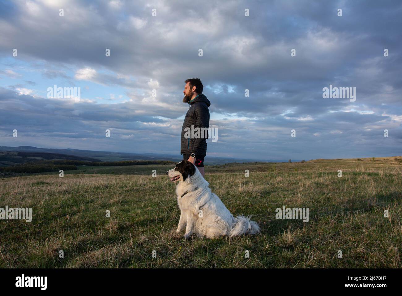 Bearded shepherd hi-res stock photography and images - Alamy