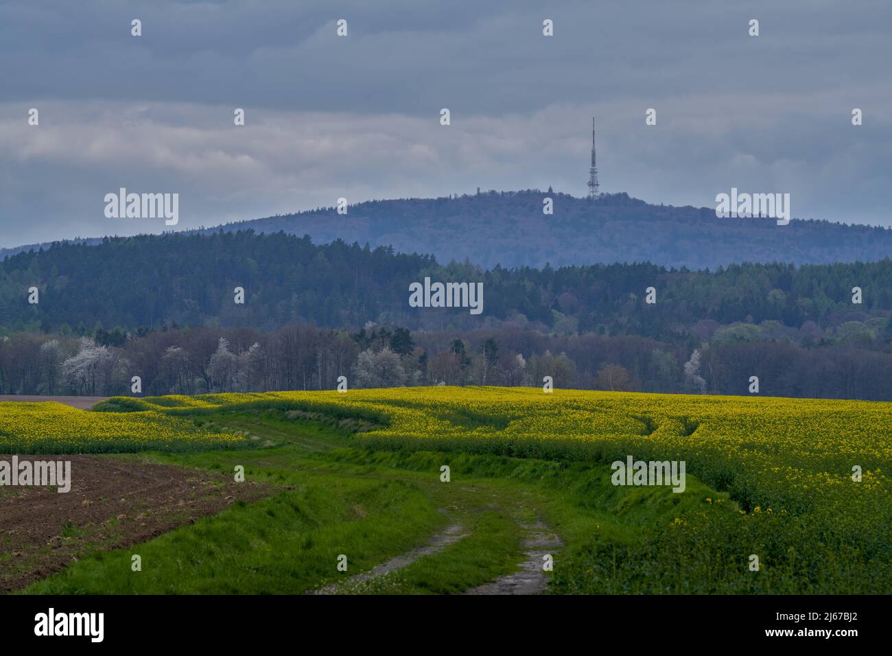 Spring rural landscape Lower Silesia Poland Stock Photo - Alamy
