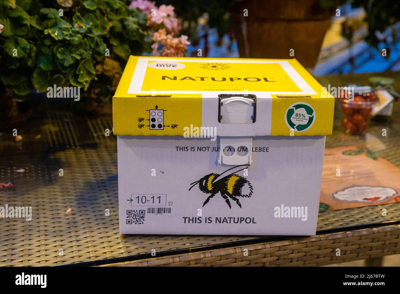 Photograph of bees used for pollination at the Friðheimar Greenhouse ...