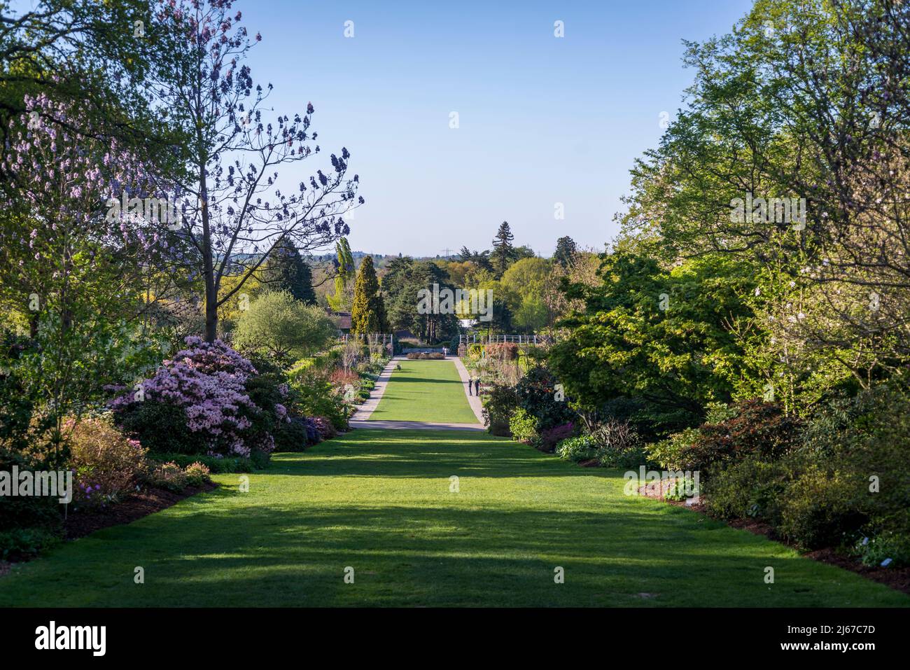 Battleston Hill, Wisley Garden, Surrey, England, UK Stock Photo - Alamy